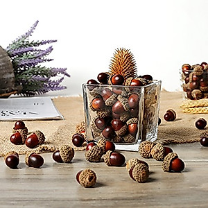 MyGift 100 Pieces Brown Assorted Artificial Acorn Caps, Autumn Vase Filler Decorations