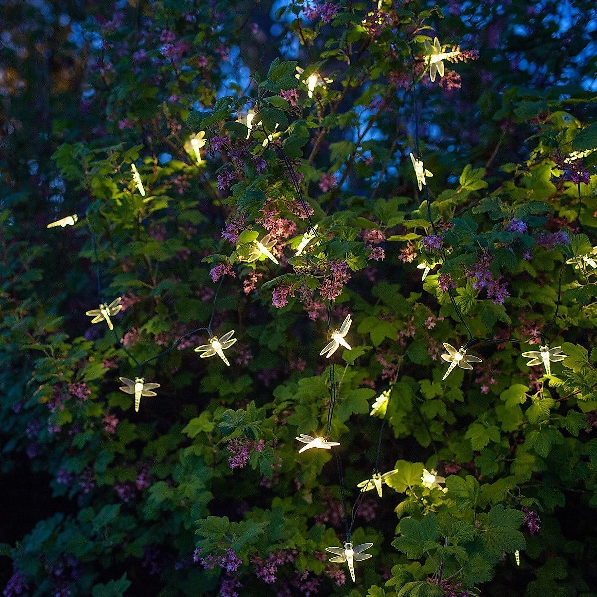 AMZSTAR Dragonfly Solar String Lights Outdoor, 19.7ft 8Modes 30 LED Waterproof Fairy Lights for Indoor/Outdoor Home Garden Lawn Fence Patio Party and Holiday Decorations (Warm White)