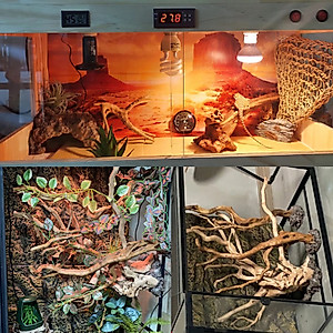 BNOSDM 2PCS Reptile Wood Branches Decor Lizard Habitat Decoration Snake Climbing Branch Accessories Terrarium Tree Trunk Ornament for Bearded Dragon Gecko Frog Chameleon Spider