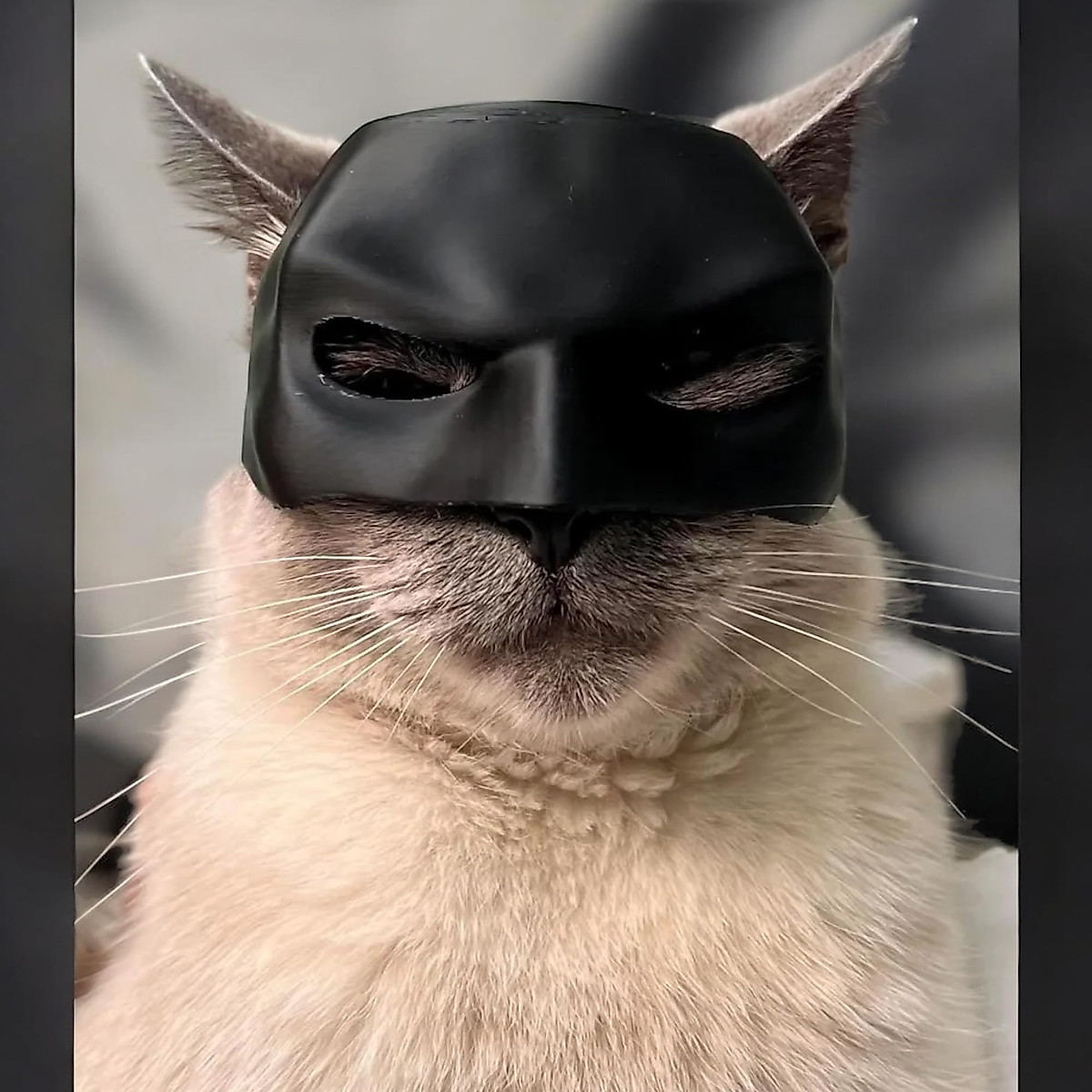 CatBat Mask for Cats Small/Medium/Large Costume Cosplay (Medium)