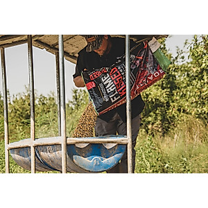 BACKWOODS ATTRACTION Flamekissed 22% Blend Corn and Soybean Roasted Grains - Attractant and Supplement - 50 Pound Bag