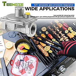 TEENGSE Natural Gas Pressure Regulator, 3/4" FNPT Thread Gas Propane Pressure Regulator, Adjustable LPG/NG Grill Regulator for NG/LPG Applications