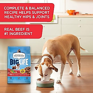 Rachael Ray Nutrish Big Life Dry Dog Food, Medium & Large Breed, Hearty Beef, Brown Rice, & Veggies, 40 Pounds