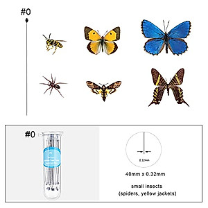 Insect Display Case Box Collection Box with Clear Top, EVA Foam Pinning Board and 100 Pieces Pins Insect Shadow Box Kit Entomology Supplies for Collecting Butterfly Specimen (Black)