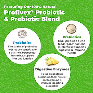 Glandex by Vetnique Daily Probiotics for Dogs with Prebiotics for Optimal Gut Health & Immune Support with Digestive Enzyme & Fiber All Natural Bacon Flavor Soft Chews (60ct Soft Chews)