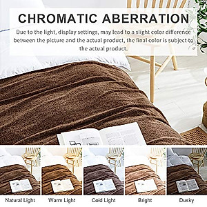BOURINA Chenille Throw Blanket with Decorative Fringe for Couch Sofa Chair Blanket (50x60 Inches) Brown