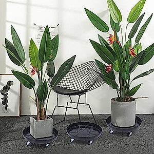 LYNICESHOP Plant Caddy with Wheels, 3Pack Plastic Plant Pallet Caddy Stand Planter Mover Flower Pot Dolly Caster Heavy Duty Plant Stand with Universal Wheels Round Pot Trolley for Indoor Outdoor