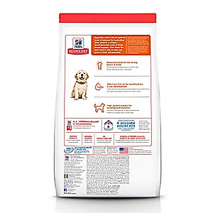 Hill's Science Diet Dry Dog Food, Puppy, Large Breeds, Chicken Meal and Oats Recipe, 30 lb. Bag