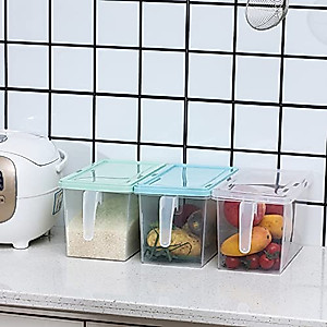 PENGKE 4 Pack Fridge Organizer,Plastic Food Storage Container with Lid and Handle,Fruit Refrigerator Organizer Bins for Kitchen Fridge Desk Cabinet Food Storage to Keep Fresh Furit Eggs Vegetables,5L