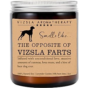 Vizsla Candle, Vizsla Funny Dog Gift, Vizsla Mom, Vizsla Dog Candle, Birthday Gift, Vizsla Owner Gift, Dog Lovers Gift, Vizsla Parents Day Gift