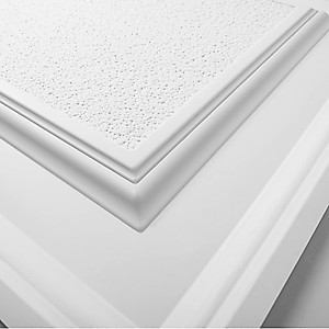 Art3d Drop Ceiling Tiles 24x48 inch White (12-Pack, 96 Sq.ft), 3D Wainscoting Panels Glue Up 2x4 FT