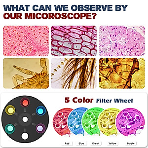 Temery Microscope for Adults Kids Students, 40X-2000X Microscope for Beginners, Biological Microscope Kit with Phone Holder, 10pcs Specimen Slides, 20 Pcs Slides & 100pcs Coverslips, Storage Bag