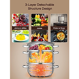 FOHERE 11Qt Steam Juicer Extractor for Canning, Juice Steamer Stainless Steel for Fruit & Vegetables with Glass Lid, Hose, Clamp, Loop Handles, Multipots Cookware for Making Juice, Jelly, Sauces