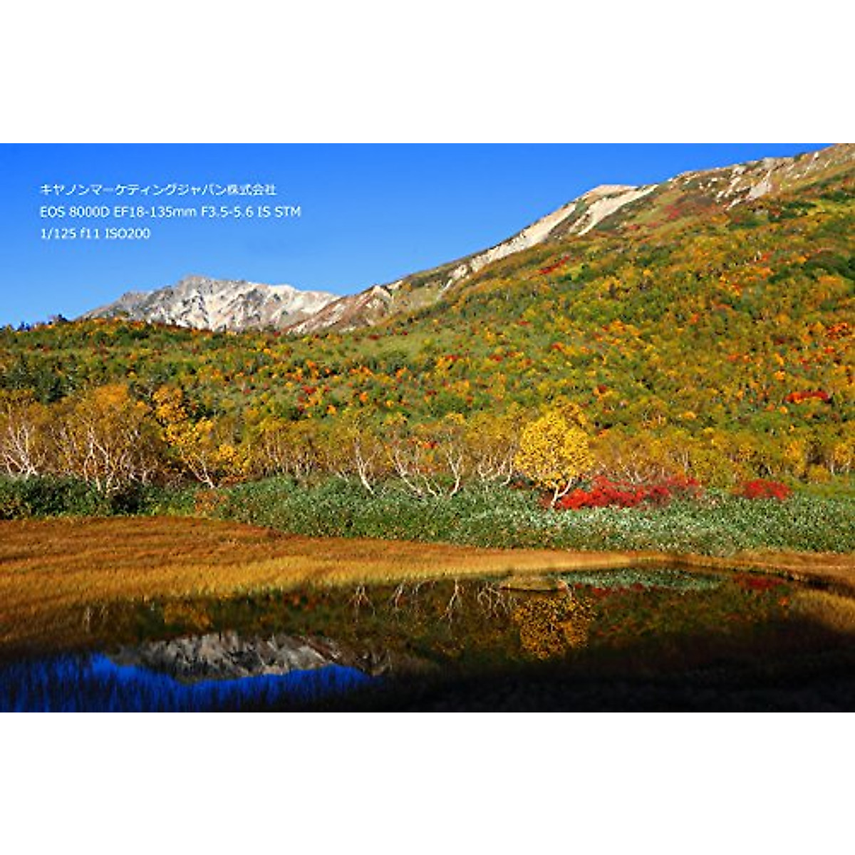 Canon DSLR camera EOS 8000D body 24.2 million pixels EOS8000D [International Version, No Warranty]