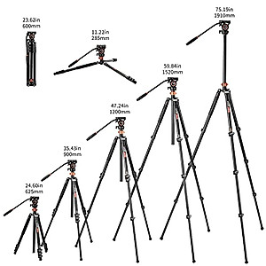 Cayer FP2450 Fluid Head Tripod, 75 inches Aluminium Tripod, 4-Section Compact Camera Tripod Convertible to Monopod for DSLR Camera, Load Capacity up to 13.2 Pounds