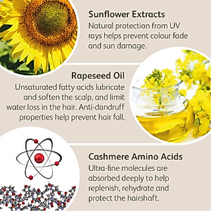 3'''More Inches Cashmere Protein UV Protective Conditioner 250ml - Restoring & Strengthening Conditioner - Color Protective- Silicone Free - With Protein Amino Acids - Hair Care by Michael Van Clarke