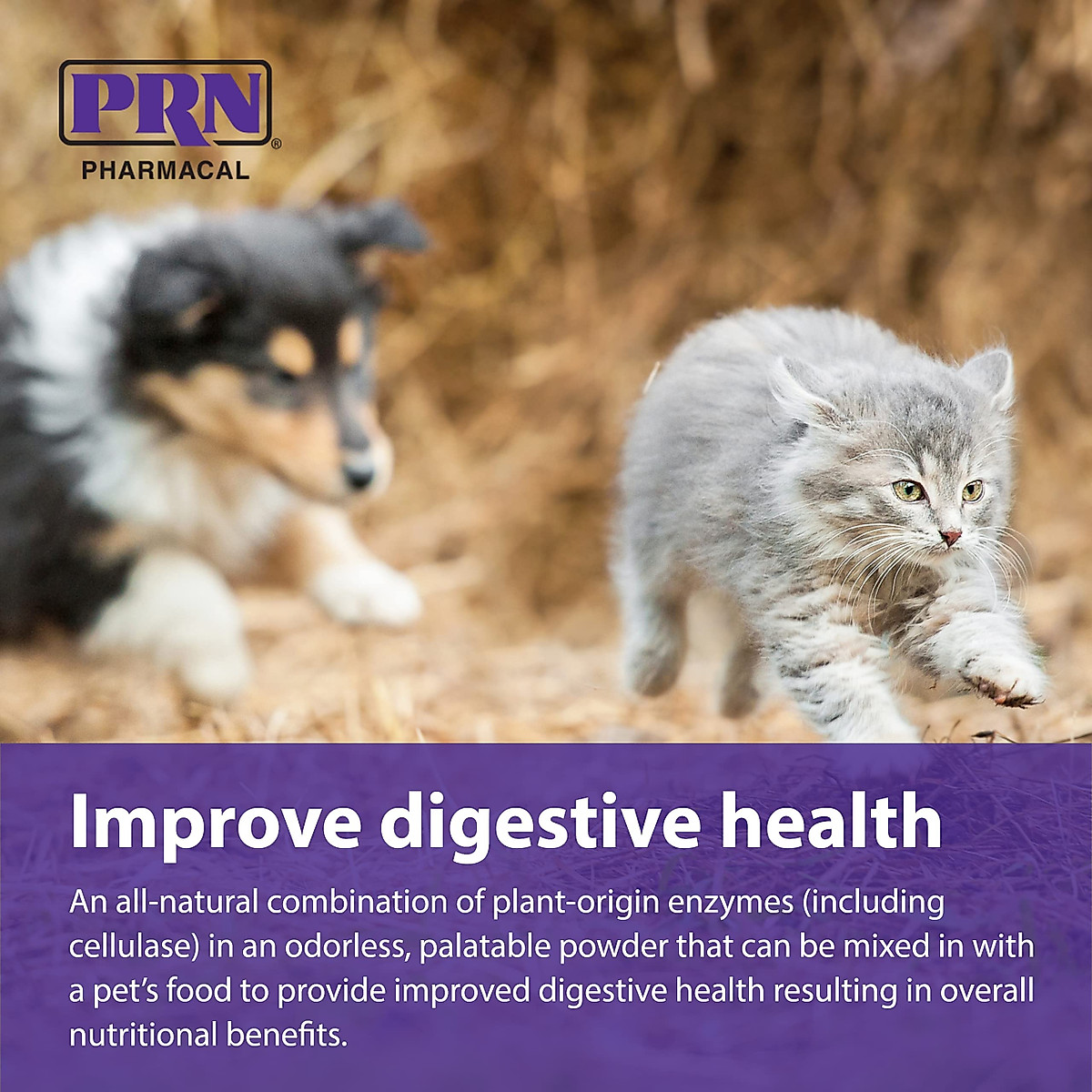 PRN Pharmacal ProZyme Original Formula Enzyme Replacement Supplement - Reinforces Animal's Digestive System, Supports Dog & Cat Food Breakdown - Promotes Pet's Digestive Health - 200 g, 7oz Bottle