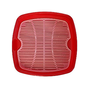 Vented Microwave Steamer Cooks Vegetables Fish Meats Poultry Rice BPA Free