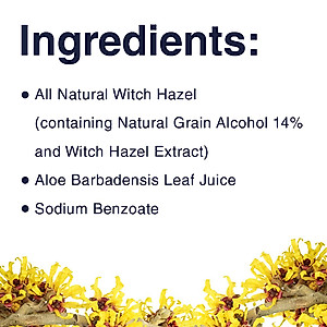 Dickinson's Original Witch Hazel Refreshingly Clean Towelettes 20 Each