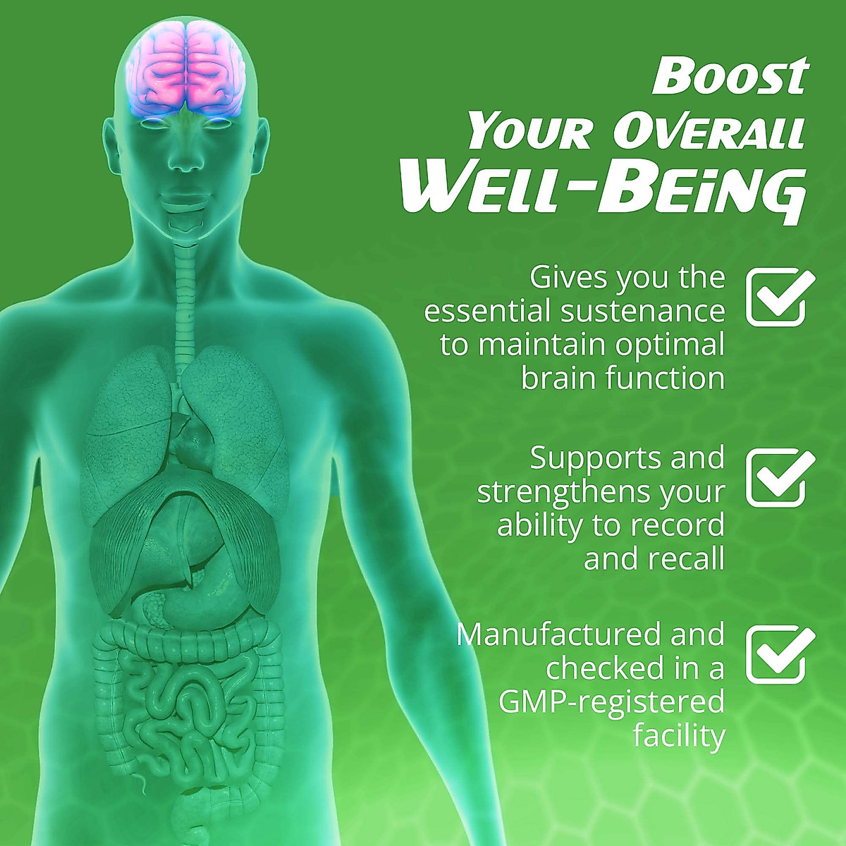 RaDoTech Ginkgo Biloba Support Brain Function, Supplements for Memory and Focus, Natural Antioxidant-Rich, Promotes Overall Health, 120 Vegetarian Capsules, GMP