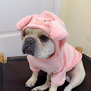 French Bulldog Clothes, Doggie Hoodie Sweatshirt, Dog Sweater for Small Medium Dogs Cats, Dog Hooded Jackets for Pug English Boston Terrier Bully Pitbull Corgi, Chihuahua, Dog Clothes Costume