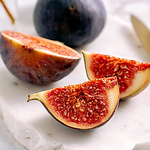 Fig Tree "Chicago Hardy" Set of 4 starter plants