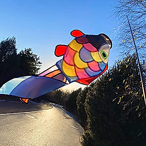 emma kites Cute Rainbow Fish Windsock Spinner Spiral 32-inch