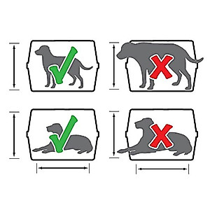 Petmate Medium 2-Door Top Load Pet Kennel Blue