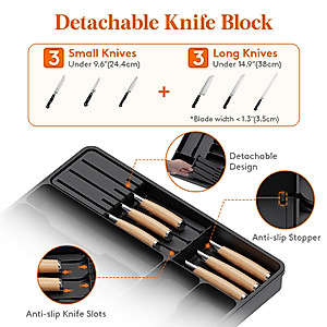 Lifewit Silverware Organizer for Kitchen Drawers, Expandable Utensil Tray with Removable Knife Block, Adjustable Cutlery and Flatware Holder, Plastic Spoon Forks Holder Storage Divider, Large, Black