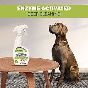 Amaziing Solutions Pet Stain and Odor Remover - Enzyme Cleaner, Pet Urine Odor Eliminator Spray - Floor & Carpet Cleaner Spray, Pet Deodorizers For Home, Fabric Spray W/Fresh, Clean Scent, 32oz Spray