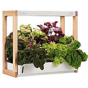 Rise Gardens Personal Garden and Starter Kit | Hydroponics Growing System, Wi-Fi & App Controlled Indoor Garden with Growing Lights & Self-Watering System | Includes 8 Seed Pods & 6 Weeks Nutrients