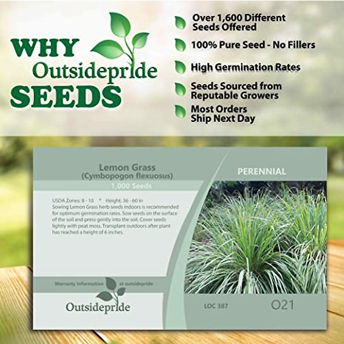Outsidepride Cymbopogon Lemon Grass Aromatic, Fragrant Ornamental & Culinary Herb Garden Plant - 1000 Seeds