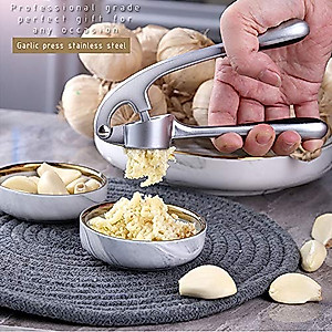 Garlic Press, Stainless Steel Garlic Press Tool with Cleaning Brush and Silicone Garlic Peeler 3 Pcs By Lechay