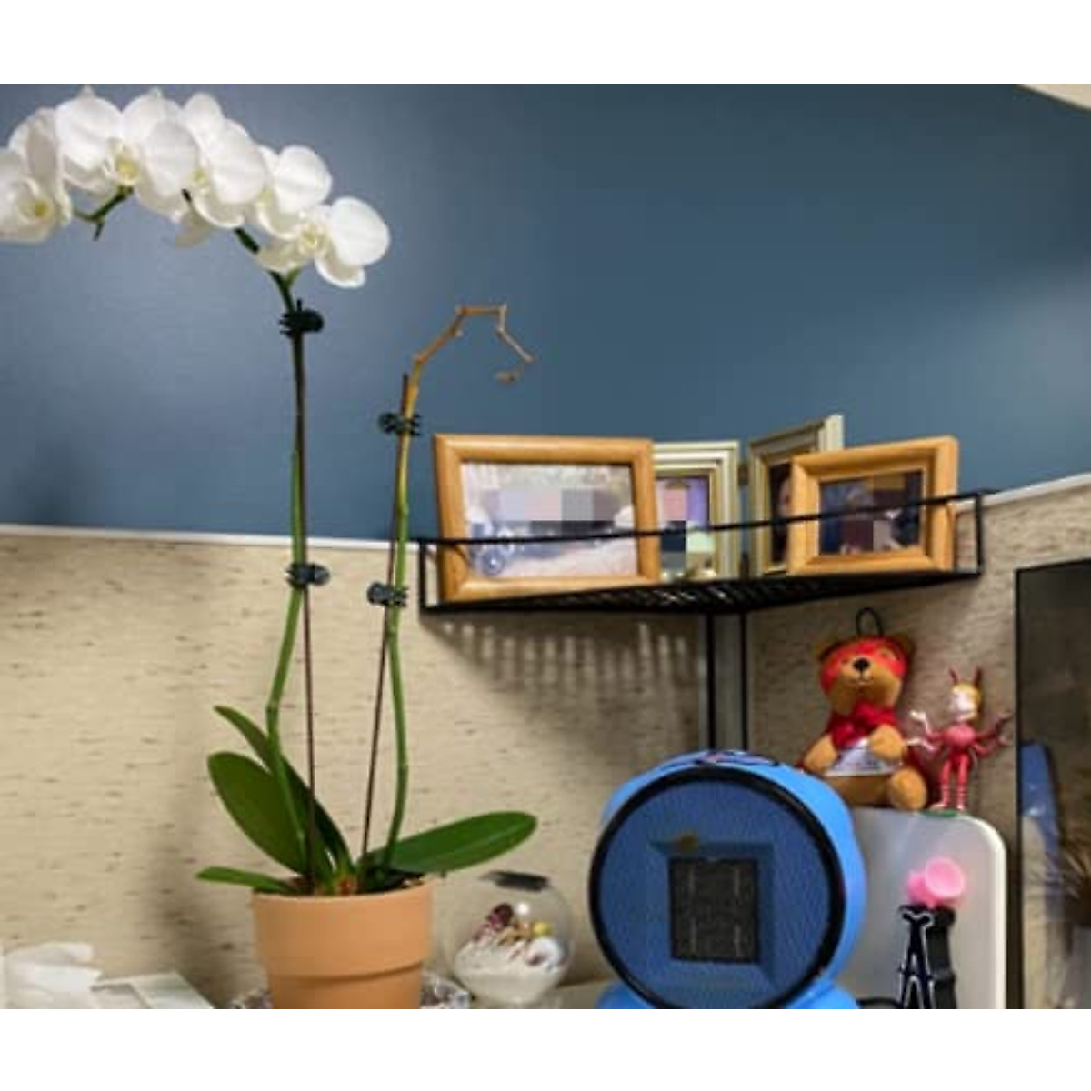 Bioristar Office Cubicle Floating Corner Shelf Iron Wire Desk Sundries Storage Rack Office Cubicles Hanging Corner Shelf Corner Hanging Shelf Black Iron Shelf (Fit 2.5inch Thick Cubical Wall)