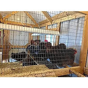 SWEETER HEATER Infrared Heater for Chicks & Pets, Overhead 11x30, 100 Watt