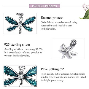 RUKYF 925 Sterling Silver Dragonfly Charms for Bracelets and Necklaces Best Jewelry Gifts for Dragonfly Lovers