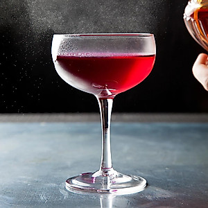 Cocktail Kingdom® Leopold® Coupe Glass, 6oz - 6 Pack