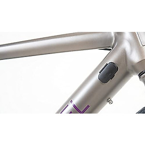 Freeweel Electric Bike Adults, 26' Ebike 250W Samsung Motor 36V 15Ah City Urban Commuter E-Bike 19.8MPH Up to 50-80km Per Charge Built in LCD with Cell Phone Charger