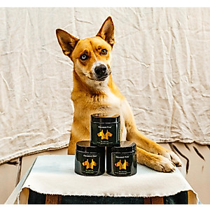 Ultra-Healthy Omega 3 Fish Oil Treats w/MSM, Glucosamine, Chondroitin, EPA/DHA for Dogs: Elevated Pets Fish Oil, Turmeric & Joint Supplement + Allergy Chews - Ultimate Dog Vitamin Supplement