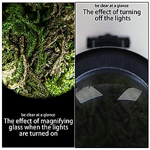 Jars Light-Up LED Transparent Glass Air Tight Storage Jars with Magnifying Viewing Jar Portable Mini Lightweight for Easy Storage and Carrying (Black)