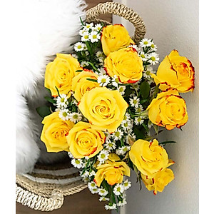 From You Flowers - One Dozen Festive Roses with Glass Vase (Fresh Flowers) Birthday, Anniversary, Get Well, Sympathy, Congratulations, Thank You