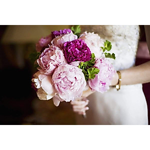 YUXUSUS Peony Flower Seeds-100pcs Chinese Peony Flower,Tree Peony,Paeonia Suffruticosa, Shrub Seeds for Garden Home Balcony Fences Yard Decoration Flowers Plants (Blue Peony Seeds)