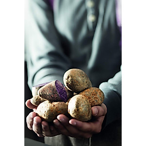 Rosle Stainless Steel Potato Fork, 17 cm