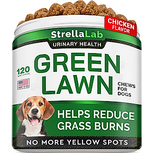 STRELLALAB Grass Burn Spot Chews for Dogs - Dog Urine Neutralizer for Lawn - Dog Pee Lawn Spot Saver - Natural Treatment Caused by Dog Urine - Grass Treatment Rocks -DL-Methionine+Enzymes - 120 Chew