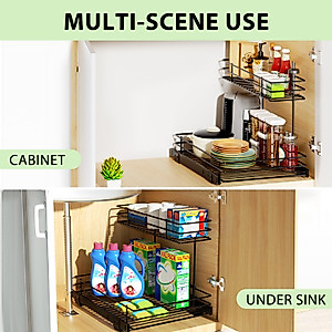 AHNR Pull Out Cabinet Organizer, 2 Tier Under Kitchen Sink Organizers and Storage Cabinet Slide Out Shelves, Pull Out Drawers for Kitchen Cabinets - 12.6W x 16.5D x 13H, Black