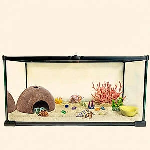DQITJ 3 Pack Hermit Crab Hideout, Natural Coconut Shells Hut for Spider Hermit Crab Gecko Turtle Small Reptile Fish Tank Aquarium