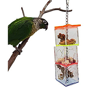 Tropical Chickens Parrot Bird Boredom Buster Forage Box Creative Hanging Treat Foraging Toy Conure Cockatiel for Small Bird Enrichment Transparent Acrylic Food Holder