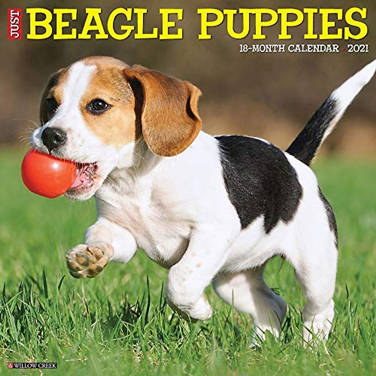 Just Beagle Puppies 2021 Wall Calendar (Dog Breed Calendar)