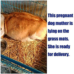 Grass Mat for Rabbit Bunny Chew Toys Woven Bed Mat for Guinea Pig Chinchilla Squirrel Hamster Cat Dog and Small Animal (8PCS Grass mat)