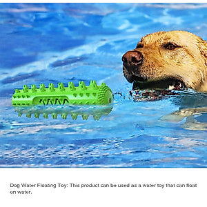 Nico's Friends Interactive Dental Toy for Dogs – Squeaky Puzzle to Clean Teeth and Promote Oral Health – Perfect for Small, Medium, and Large Breeds.